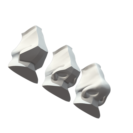 👃 Planes of The Nose (David's Nose)・ 3D File for 3D printing・Cults