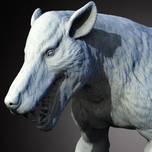 largest ever apex predator