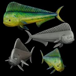 Mahi Mahi best STL files for 3D printer・37 free models to download・Cults