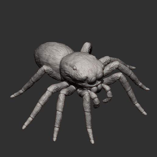 STL file Jumping spider 3D print model 🕷️ (OBJ)・3D printable model to ...