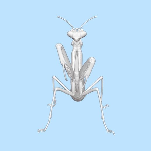 🙏 Praying Mantis Ambassador – Envoy of the Luminous Accord・ STL File ...