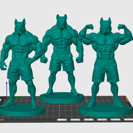 👾 3 pitibull bodybuilder trophies・ STL File for 3D printing・Cults