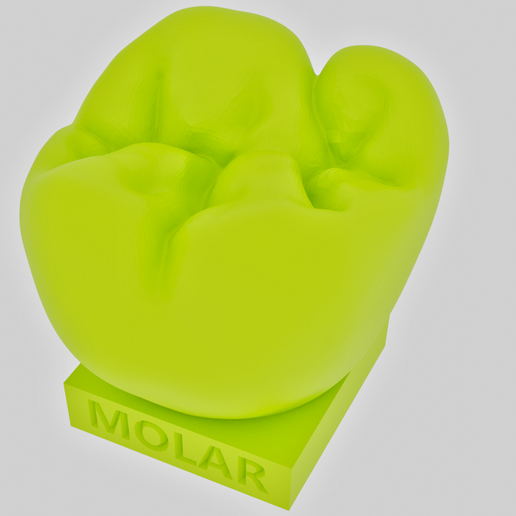 🦷 MACR0CORONA OF MOLAR・ STL File for 3D printing・Cults