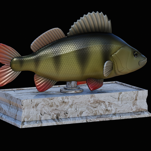 🐠 fish european perch / Perca fluviatilis with storage space / for 3d ...