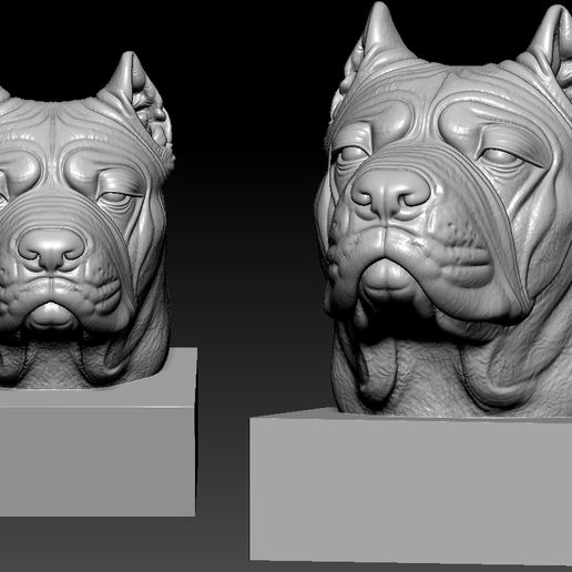 🐕 Dog American bully bust model - 3D print・ 3D File for 3D printing・Cults