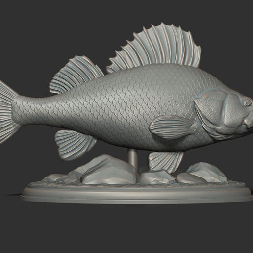 🐠 Perch fish on the base・ STL File for 3D printing and CNC machining ...