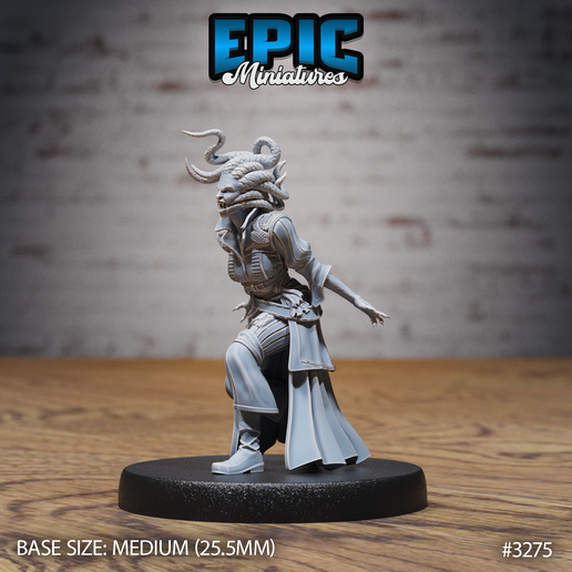🏴‍☠️ Gorgon Pirate Set ‧ DnD Miniature ‧ Tabletop Miniatures ‧ Gaming ...