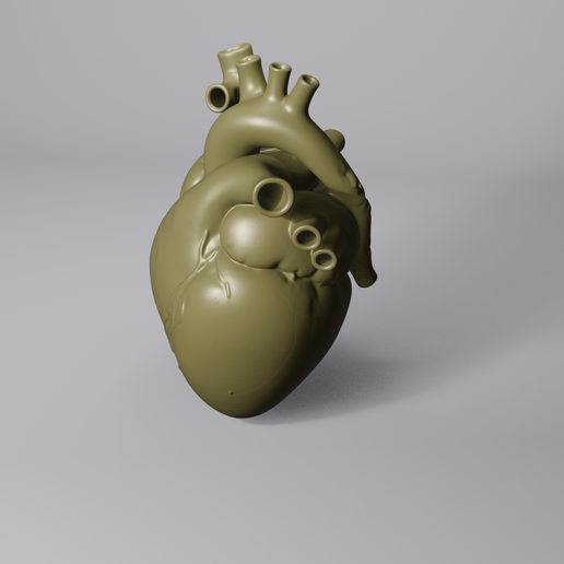 💜 Realistic Human Heart - Anatomical 3D Model STL for 3D Printing・ STL ...