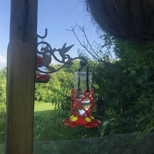 🐦 Hummingbird Feeder with Accessories・ STL File for 3D printing・Cults
