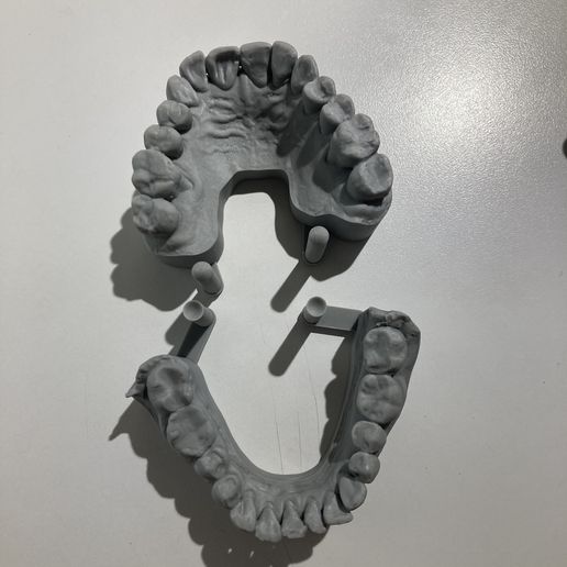 🦷 Dental arch・ STL File for 3D printing・Cults