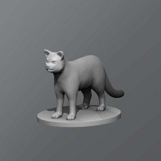🐱 Cat・Free STL File for ・Cults