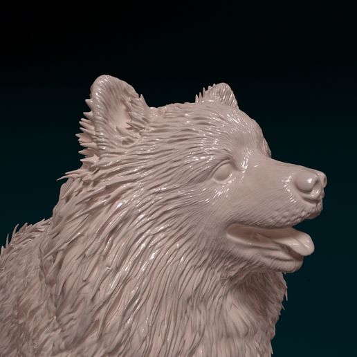 STL file Japanese Spitz 🐕 (OBJ)・3D printer design to download・Cults