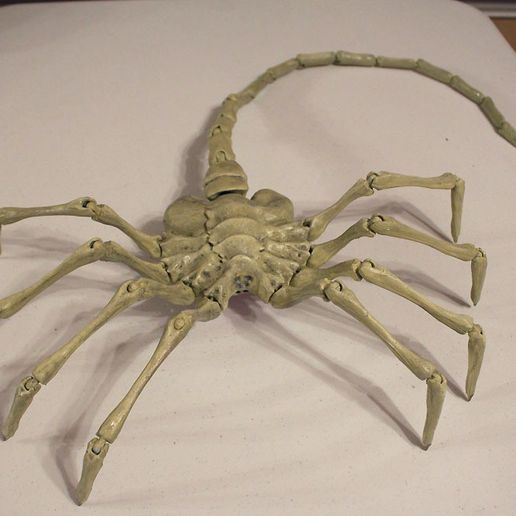 👽 Agisis Ultimate Alien Face Hugger (40in x 23in - LIFE SIZE!)・Free STL ...
