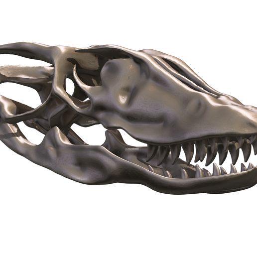 Fichier STL Megalania crâne 🐉 (OBJ)・Design pour imprimante 3D à ...