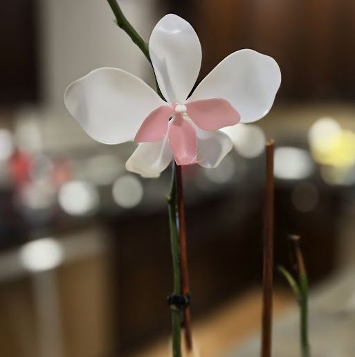 🌸 3D Printable Orchid Flowers – Shape with Heat Gun & Bring Your Orchid ...