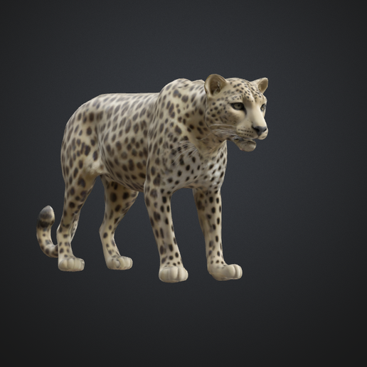 🐆 Leopard - Neutral・ STL File for 3D printing・Cults