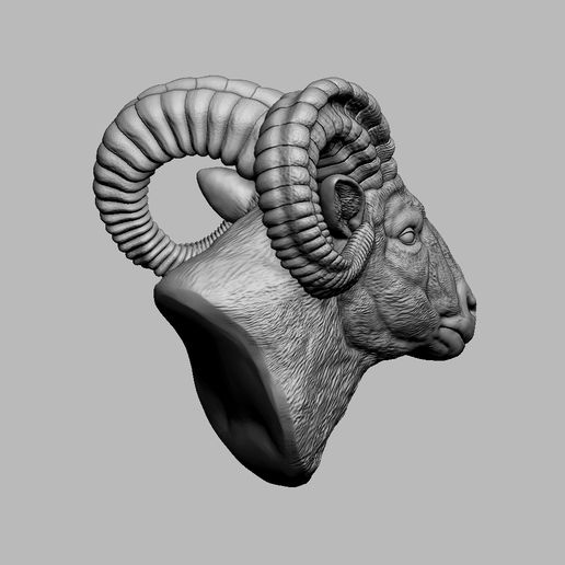 STL file Ram head bust, Animal head, Animal bust, Goat bust, Goat head ...