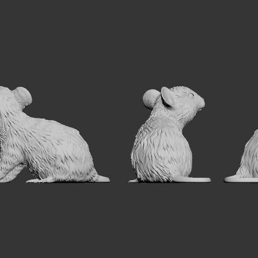 🐁 mouse・ STL File for ・Cults