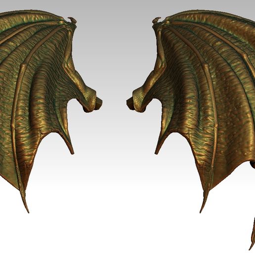 🎨 10 3d wings 3D print model・ STL File for 3D printing・Cults