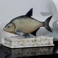 Trophy best 3D printing models・4k designs to download・Cults