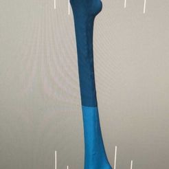 Femur best STL files for 3D printing・72 free models to download・Cults