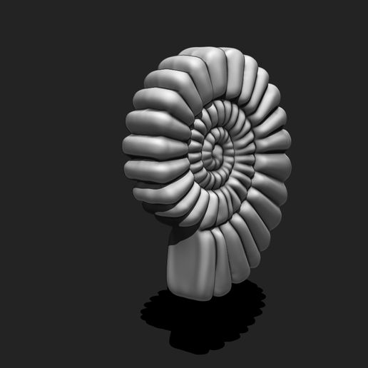 🐚 SHELL 10 - 3D PRINT - AQUARIUM・ 3D File for 3D printing・Cults