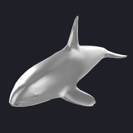 🌊 Orca 3D MODEL・ 3D File for 3D printing・Cults