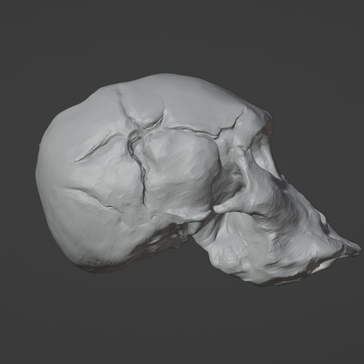 STL file DAMAGED SKULL STL FILE | DAMAGED SKULL DIGITAL FILE 💀 ・3D ...