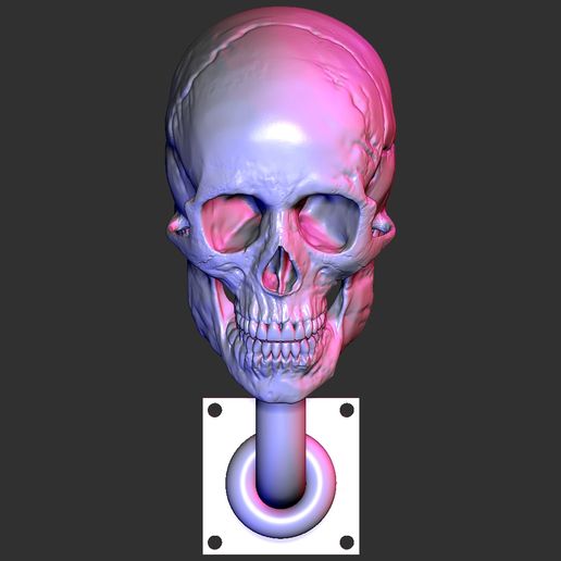 wall mounted human skull