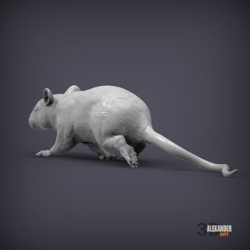 🐀 rat is running・ STL File for 3D printing・Cults