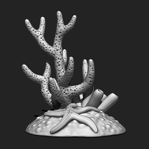 🪸 Coral Reef Aquarium 3D Print - Decor 3D print model・ 3D File for 3D ...