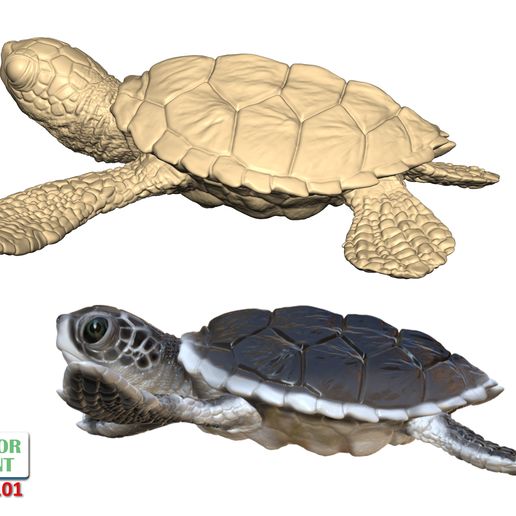 👶 Baby Sea Turtles 3D Printable Models・ 3D File for 3D printing・Cults