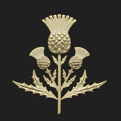 🎨 art Thistle Scotland elegant heritage highland celtic flora・ STL File ...