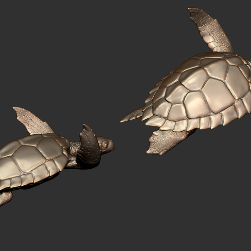 🐢 Turtle・ STL File for ・Cults