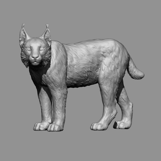 🐱 Lynx・ STL File for 3D printing・Cults