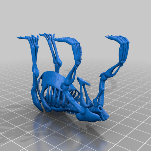 🐉 Dragon Skeleton・Free STL File for 3D printing・Cults