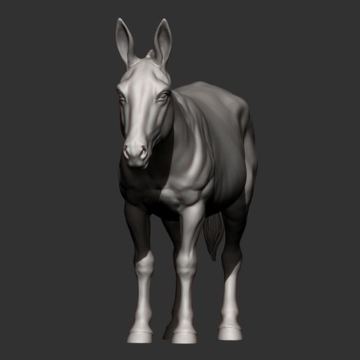 3D file Donkey 3D print model 🗿 ・3D printable design to download・Cults