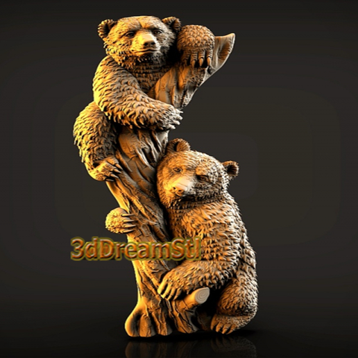 bears aspire