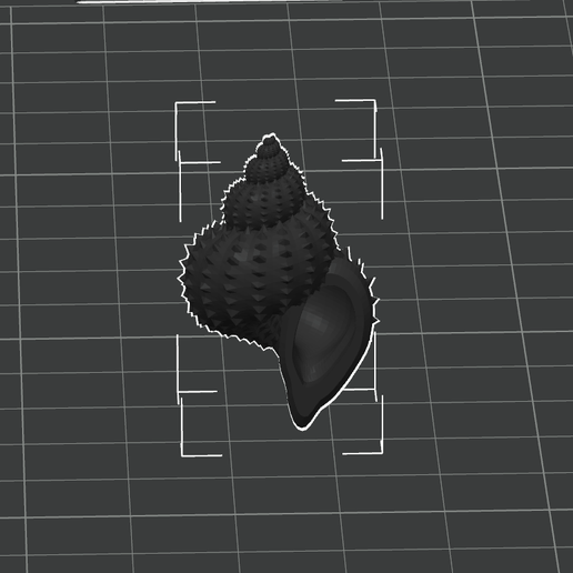 🐚 Spiral Shell・Free STL File for 3D printing・Cults