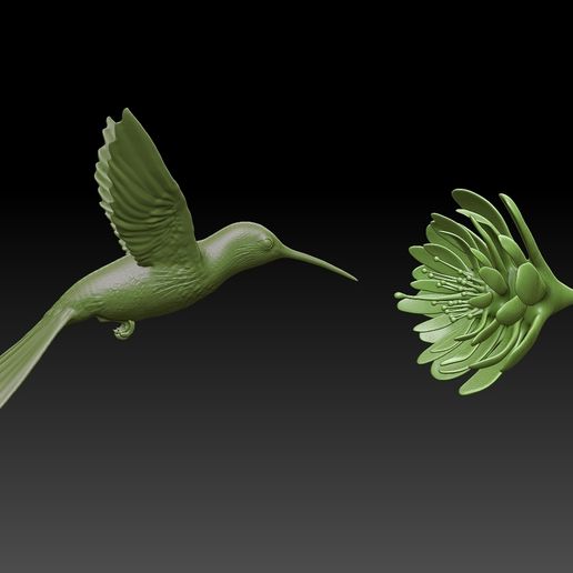 🐦 Hummingbird 3D Model・ STL File for 3D printing・Cults