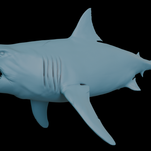 🦈 Megalodon 3D print model・ STL File for 3D printing・Cults