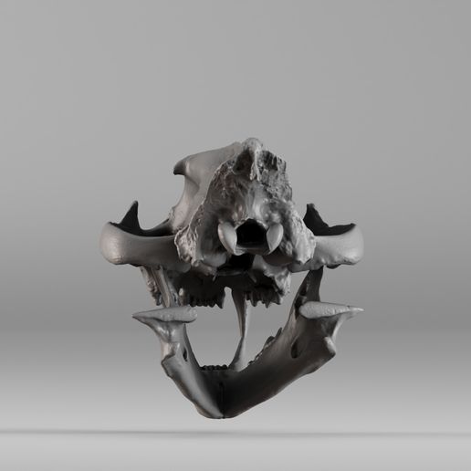 🦁 001602 Lion Skull・ 3D File for 3D printing・Cults