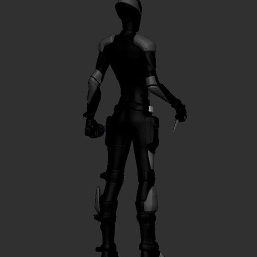 STL file BORDERLANDS - Zer0 🎲 ・3D printing design to download・Cults