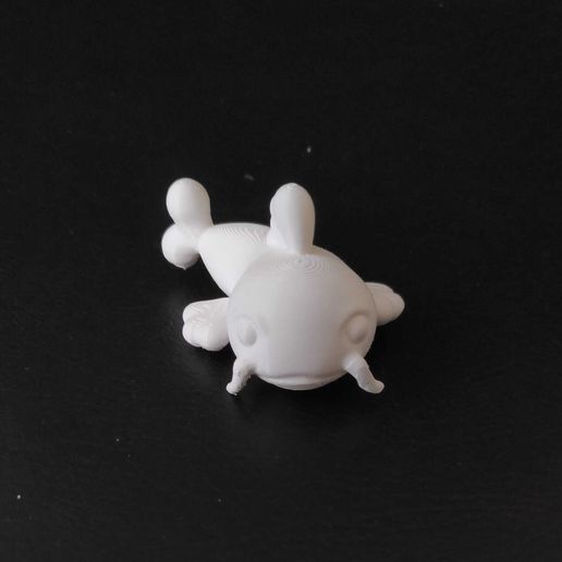 🐠 Moustache Catfish・ 3D File for ・Cults