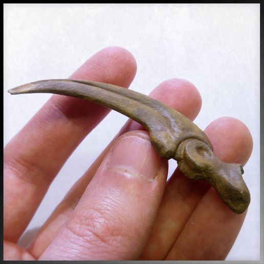 🦖 Pyroraptor Raptor Claw・Free STL File for 3D printing・Cults