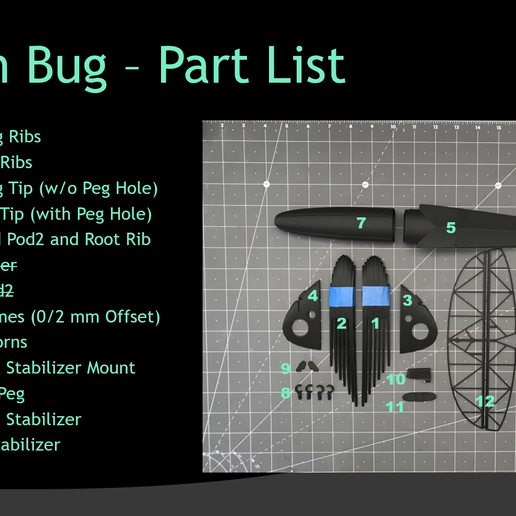 🐛 "Carbon Bug" - All Carbon, 3D Printed DLG・Free 3D File for 3D ...