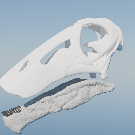 💀 Bajadasaurus pronuspinax model 3d print・ STL File for 3D printing・Cults
