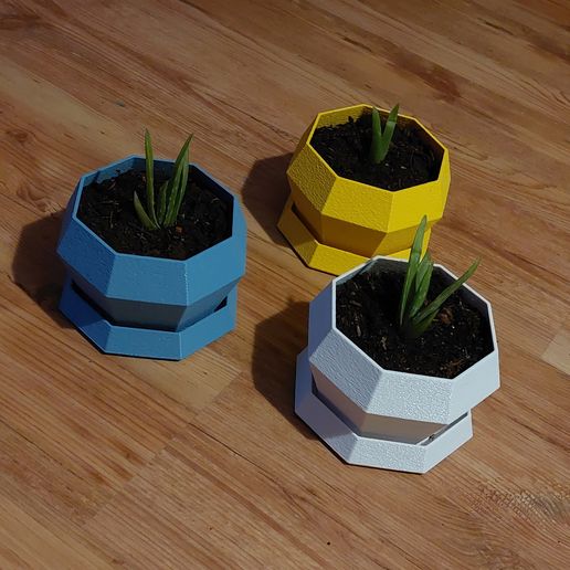 STL file Plant pot Angled Octagon 🌿 ・3D printer design to download・Cults