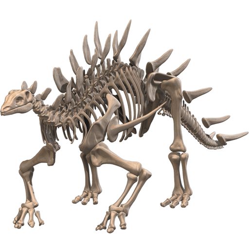 💀 Kentrosaurus: Complete skeleton・ 3MF File for 3D printing and CNC ...
