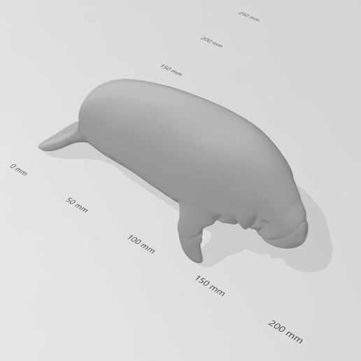 🚰 Manatee, Manatee・ STL File for 3D printing・Cults